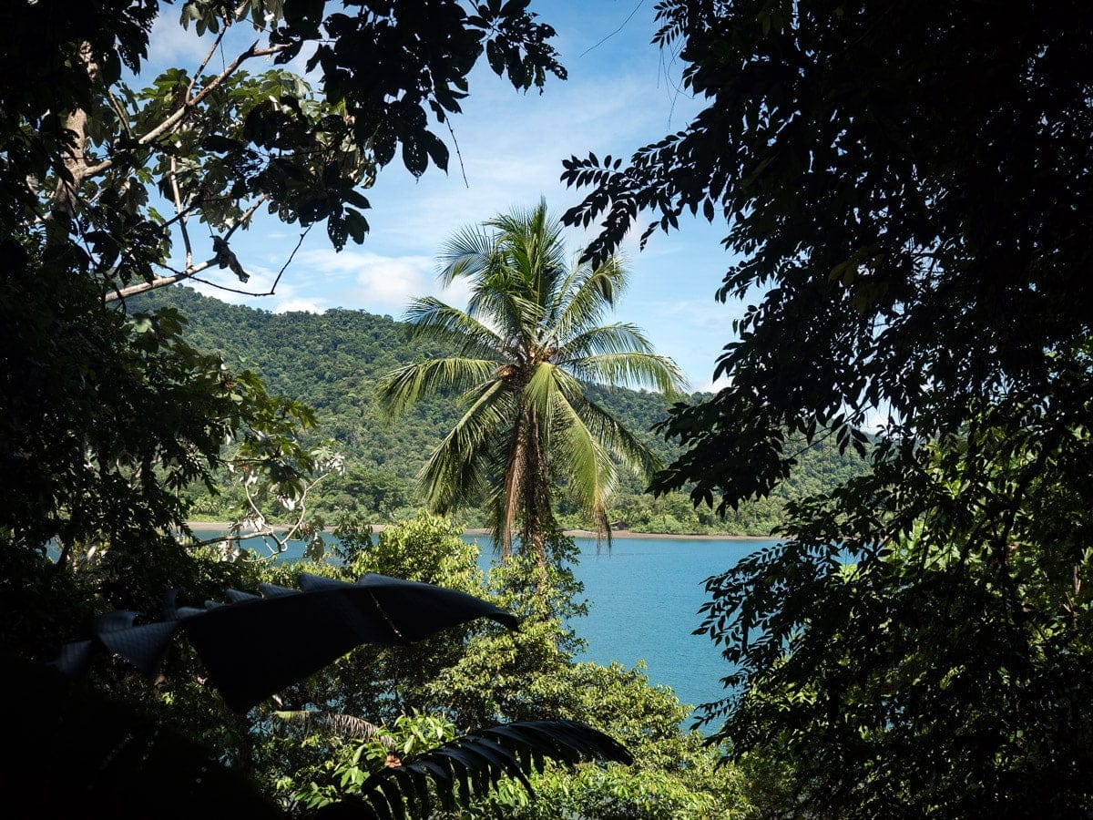 Utria National Park travel guide: natural wonder in the (2025) - My ...