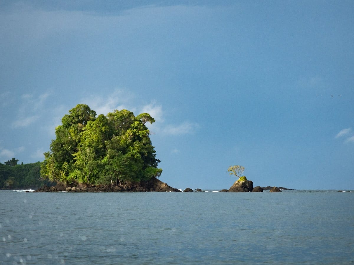 Utria National Park travel guide: natural wonder in the (2025) - My ...