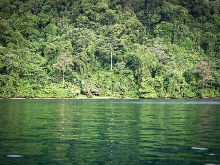 Utria National Park travel guide: natural wonder in the (2025) - My ...