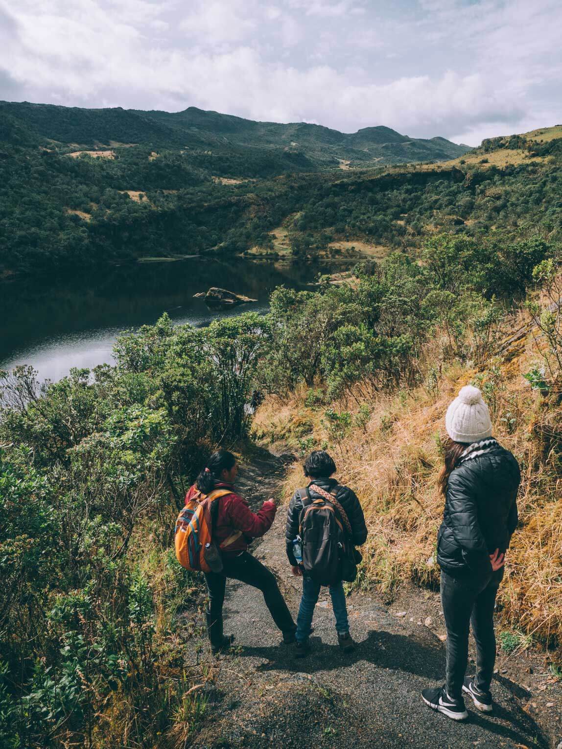 Paramo de Oceta travel guide: one of the best hikes in Colombia (2023)
