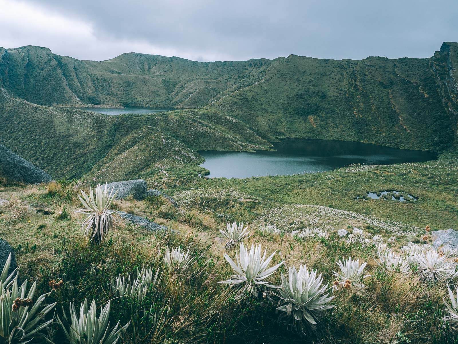 Hiking in Chingaza National Park travel guide (2024) - My trip to Colombia