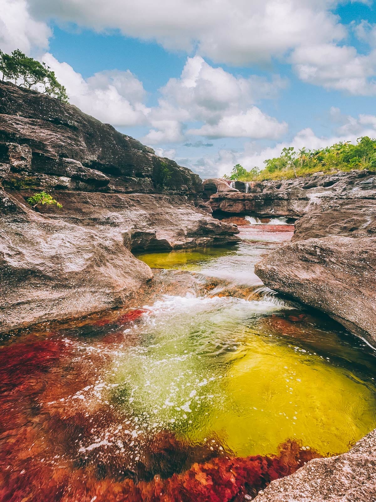 Caño Cristales travel guide: visit the most beautiful river in the ...