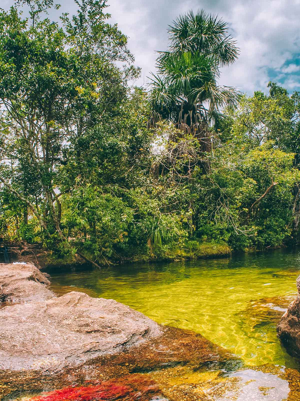 Caño Cristales travel guide: visit the most beautiful river in the ...