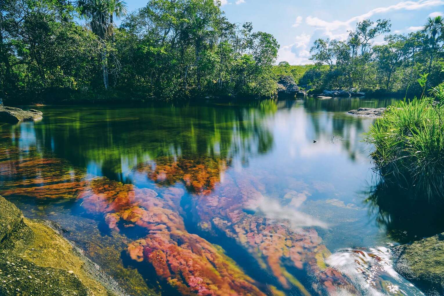 Caño Cristales travel guide: visit the most beautiful river in the ...
