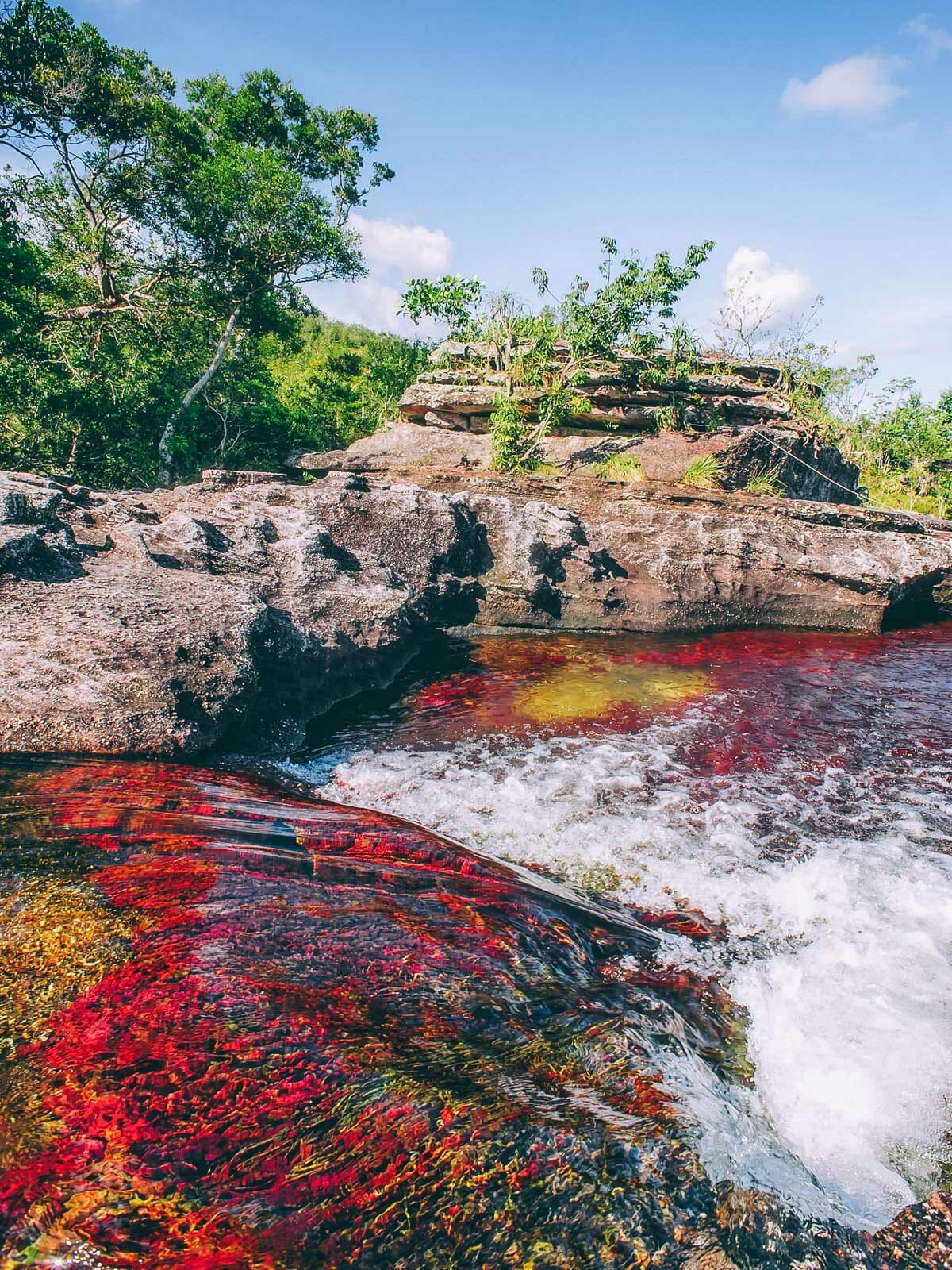 Caño Cristales travel guide: visit the most beautiful river in the ...