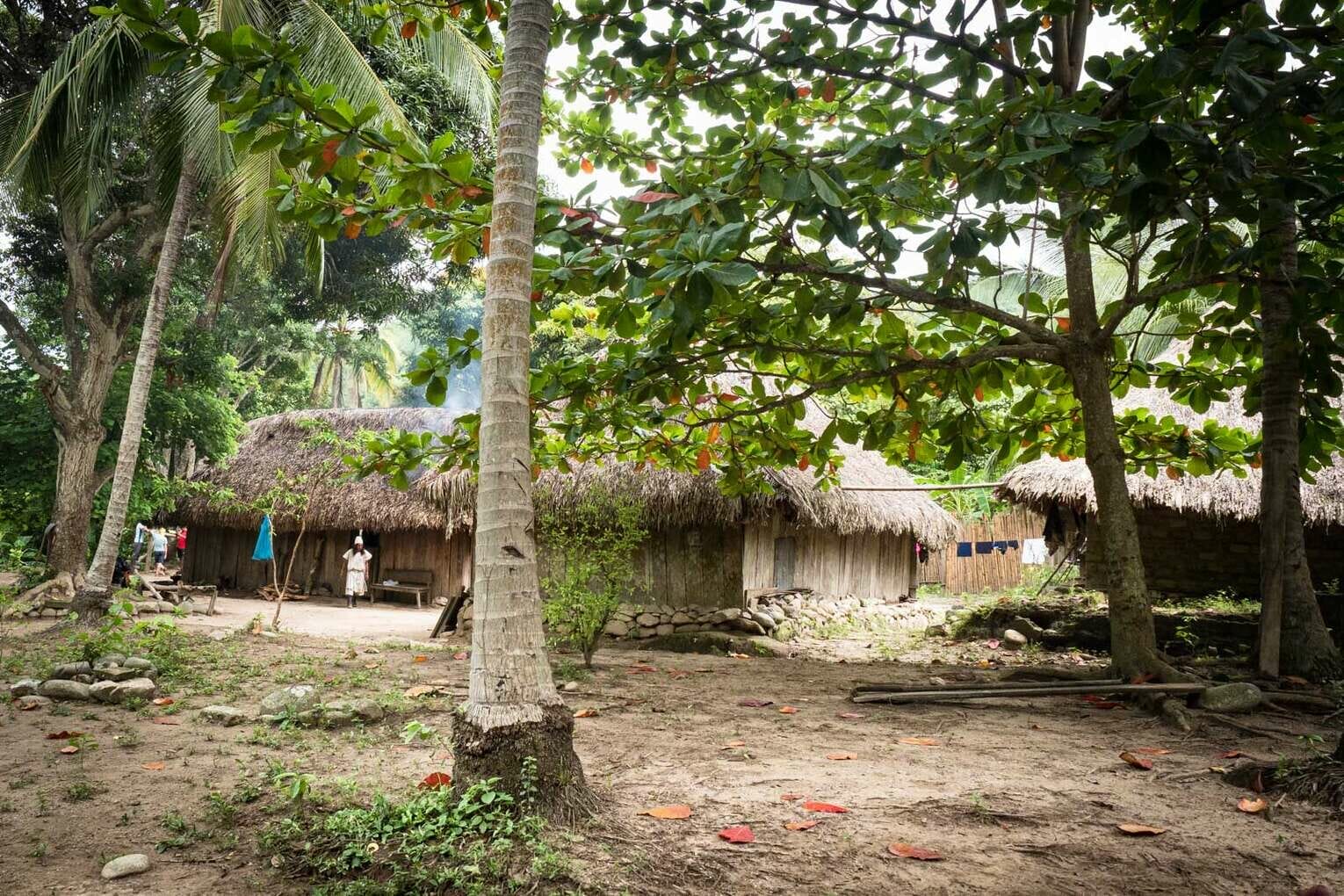 Palomino travel guide: best things to do and visit (2025) - My trip to ...