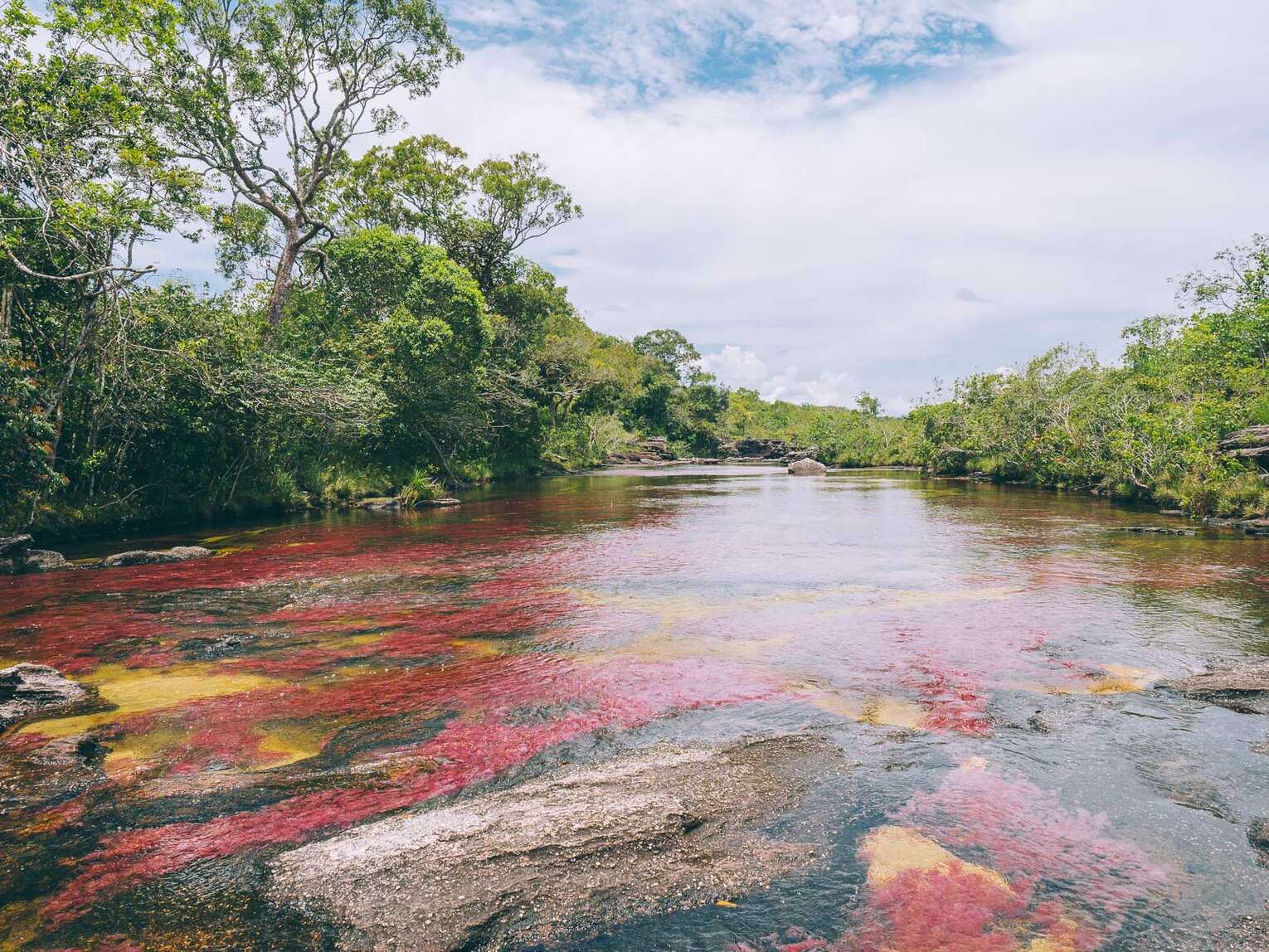 Caño Cristales travel guide: visit the most beautiful river in the ...