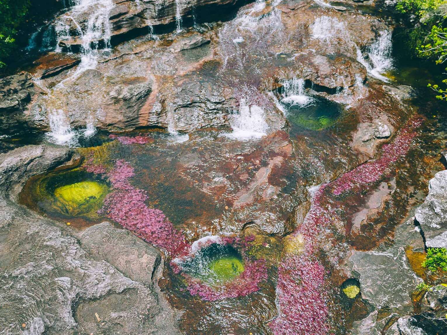 Caño Cristales travel guide: visit the most beautiful river in the ...